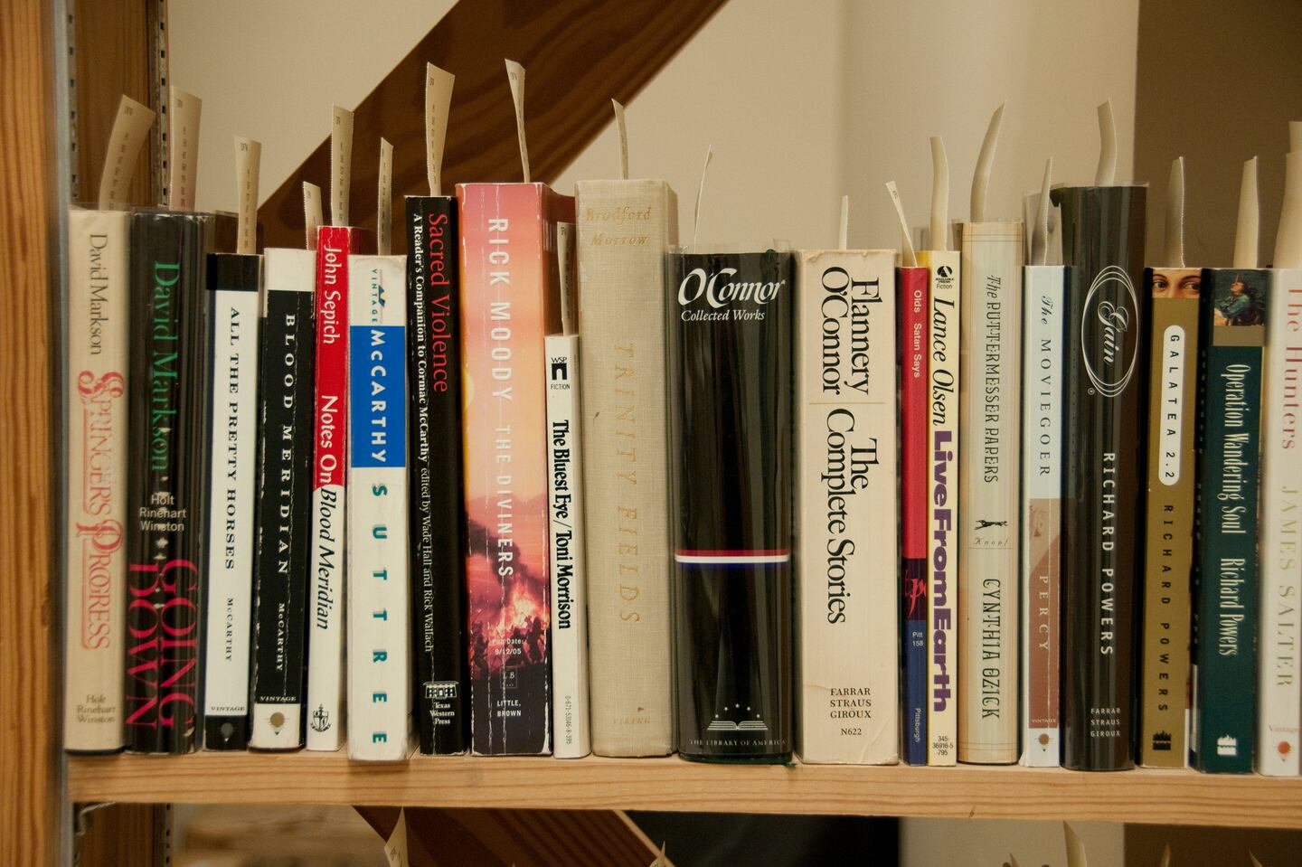 Writers and Their Libraries: What Books Did David Foster Wallace, James ...