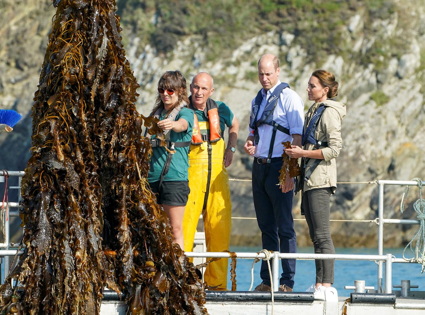 Inside the Great British Seaweed Race to Save the Earth