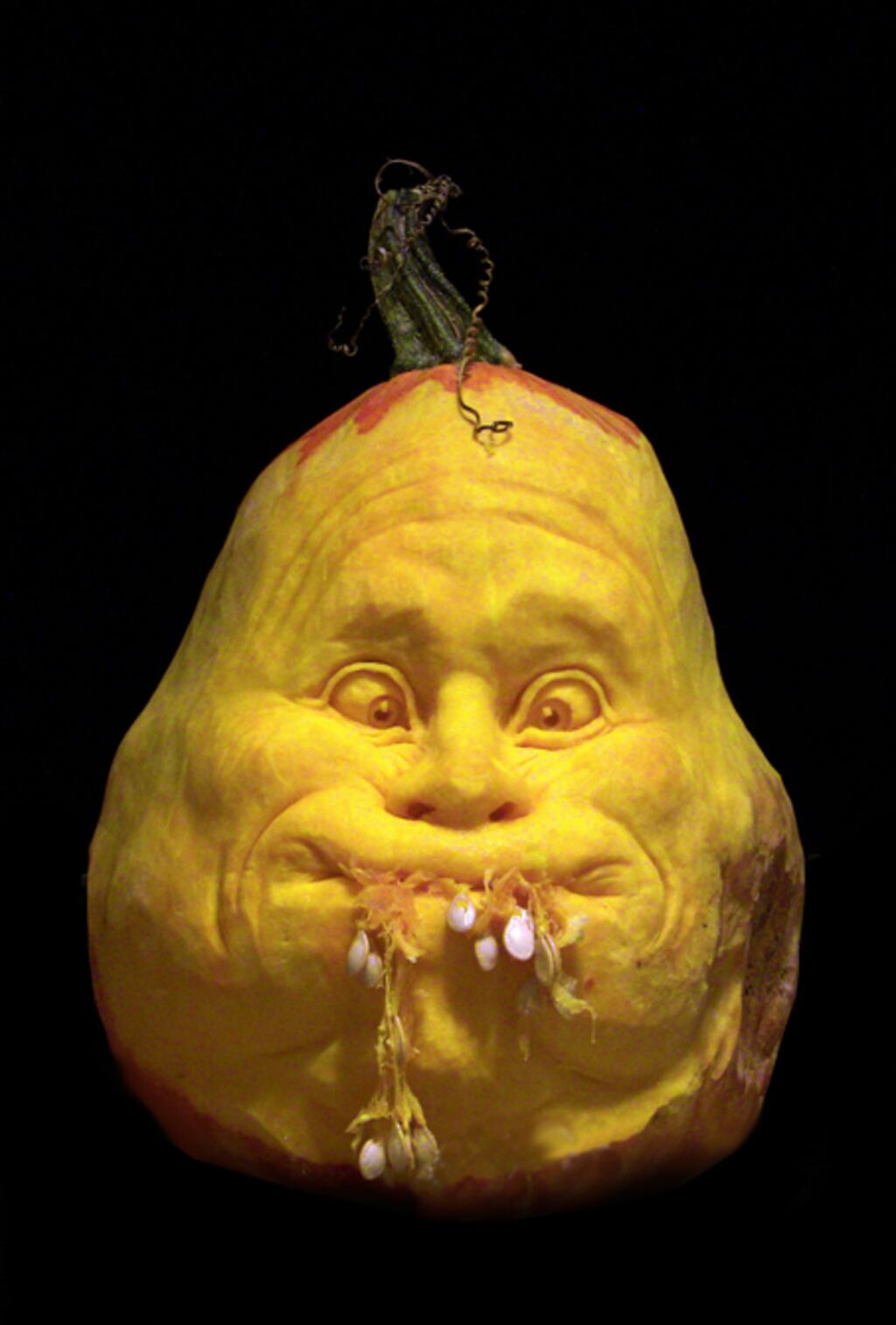 23 Amazing Carved Pumpkins