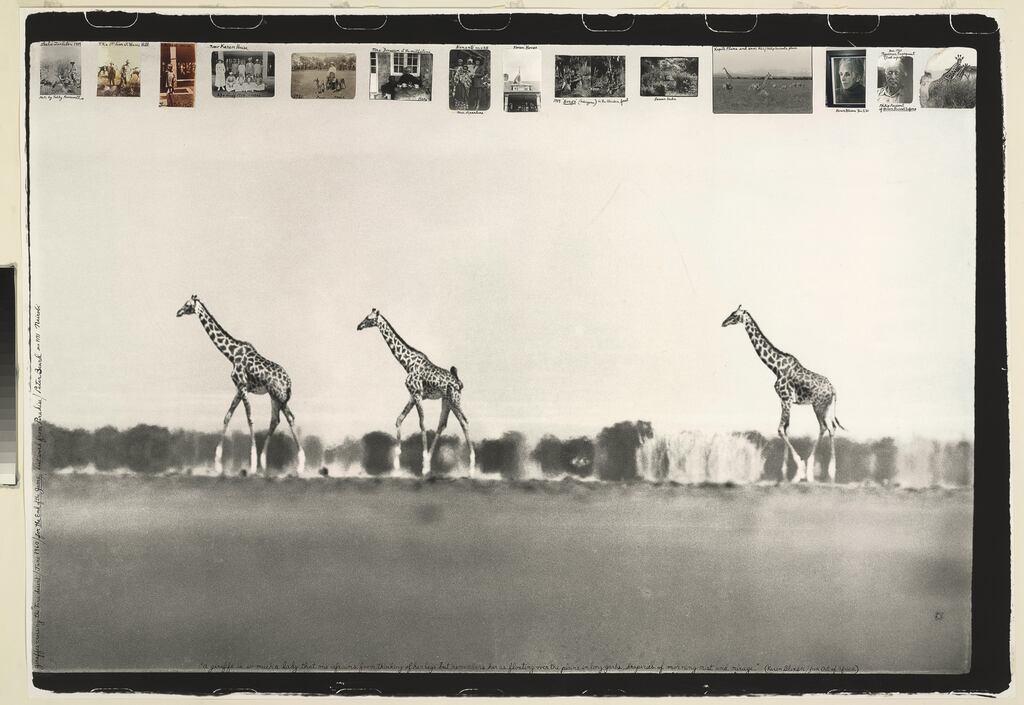 Peter Beard's Natural Wonders