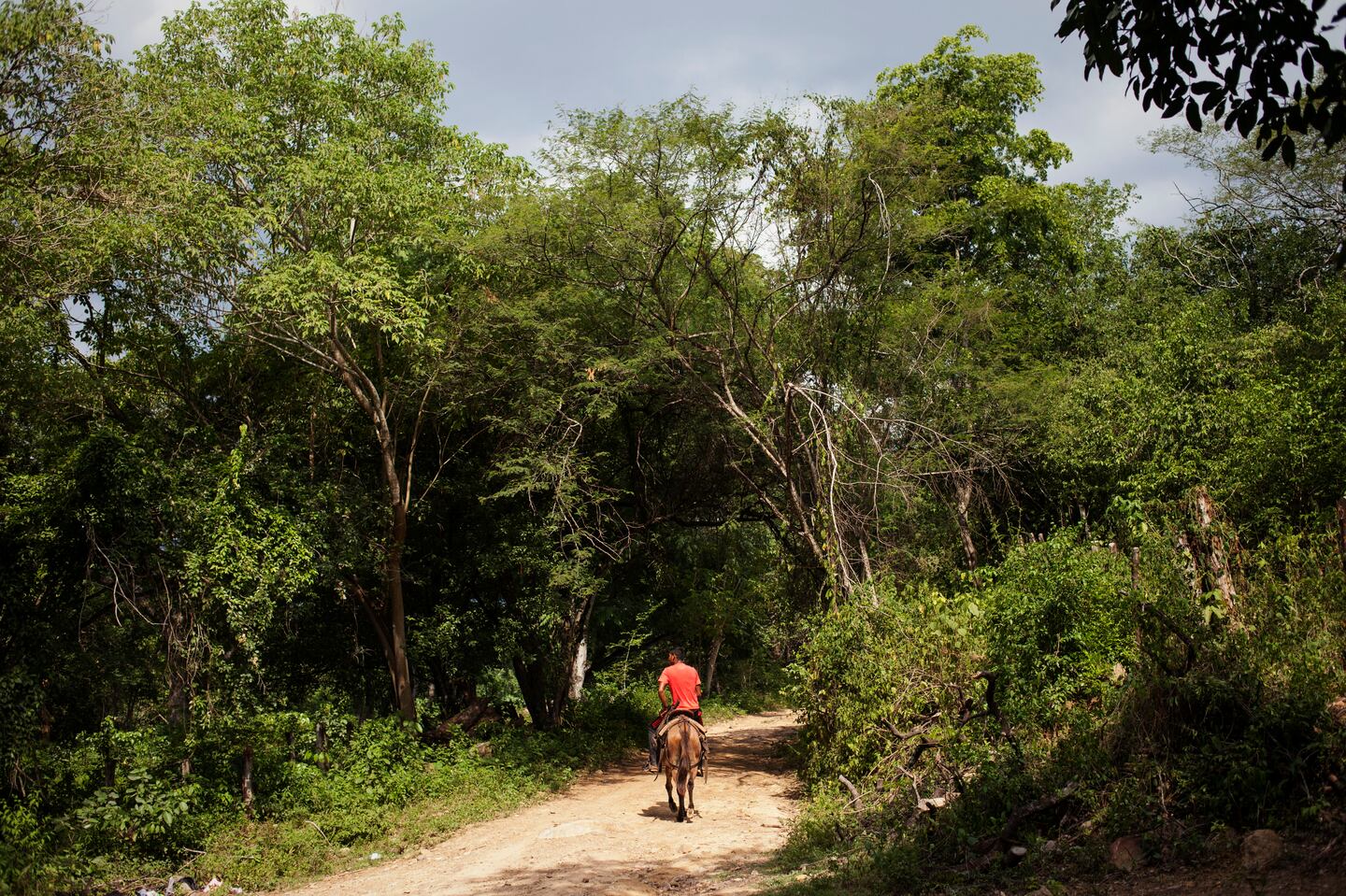 FARC Wants You to Come Stay in the Jungle—Voluntarily