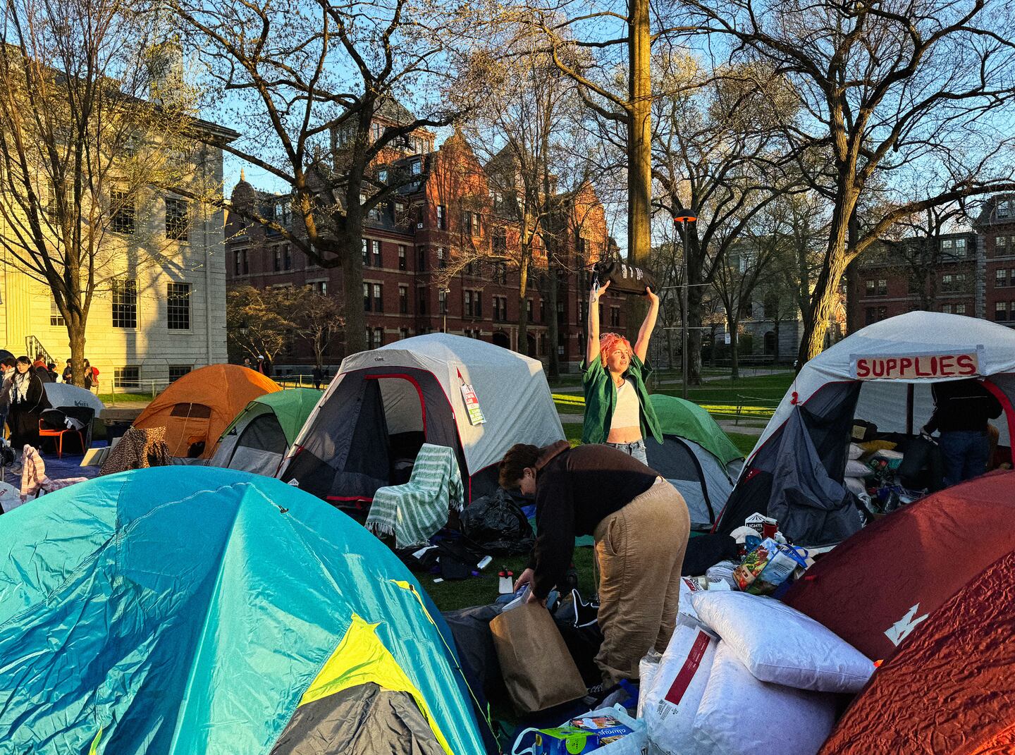 The Surreal Difference Between Harvard and Columbia Protests During ...
