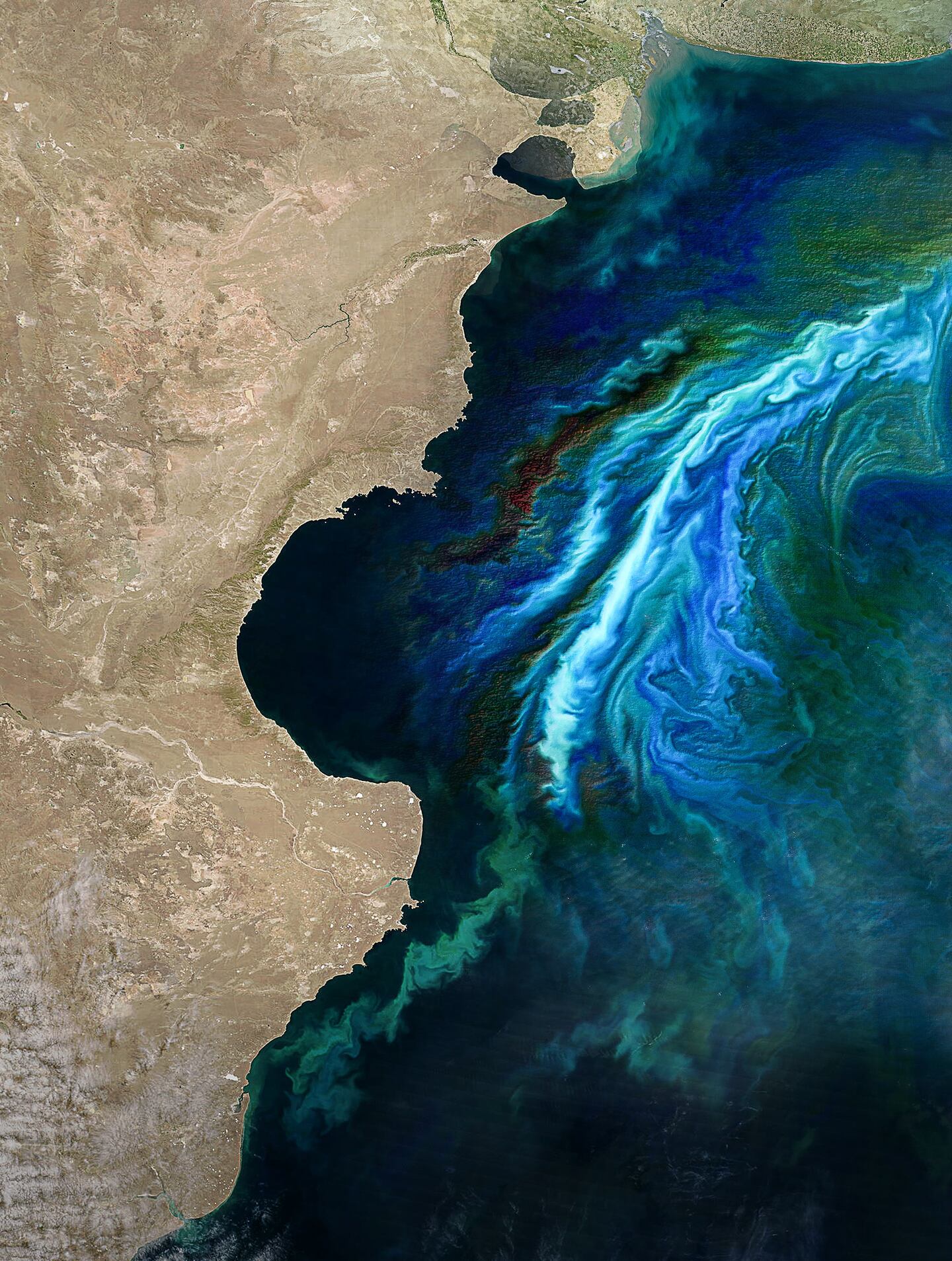 These Phytoplankton Bloom Pics Are Both Stunning and Terrifying