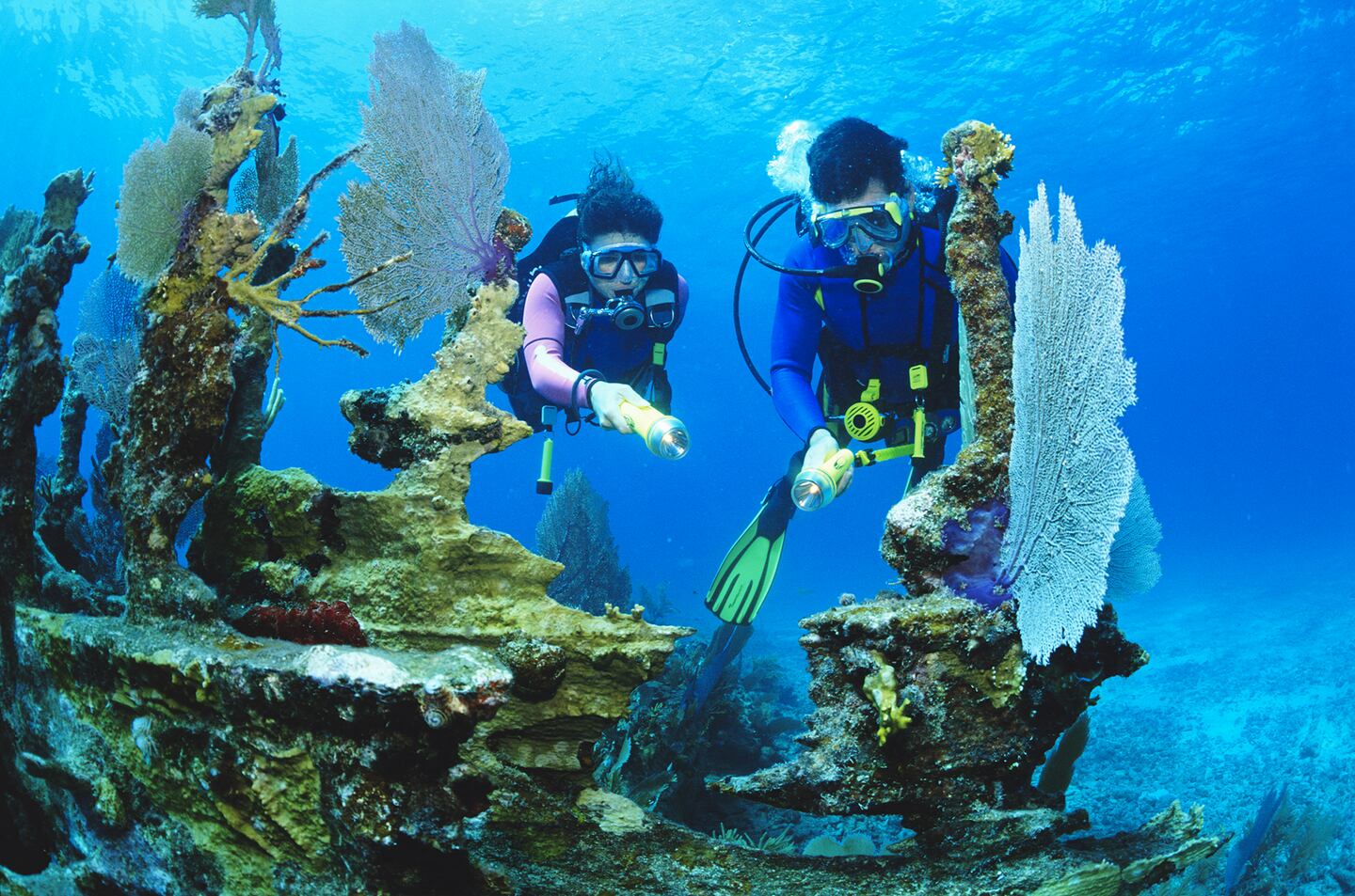 Visiting the Florida Keys? Here’s What You Need to Know