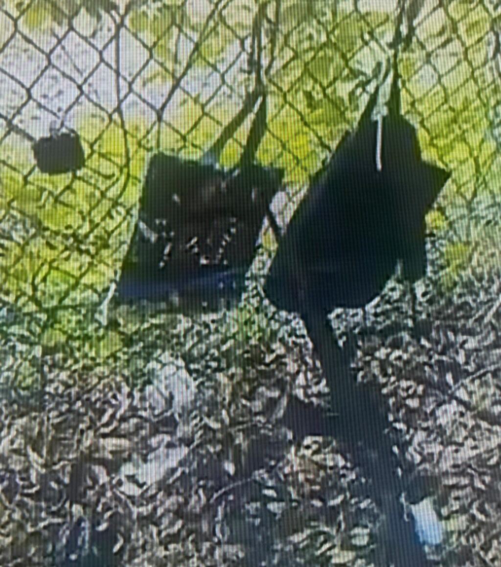 Who Is Alleged Trump Golf Course Gunman Ryan Wesley Routh?