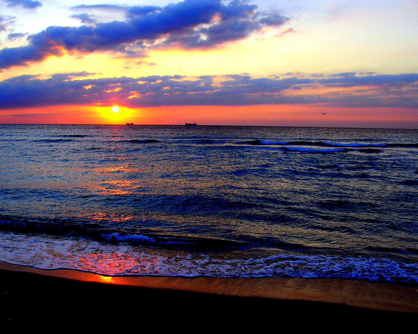 Five Best Beaches for Night Swimming (Photos)