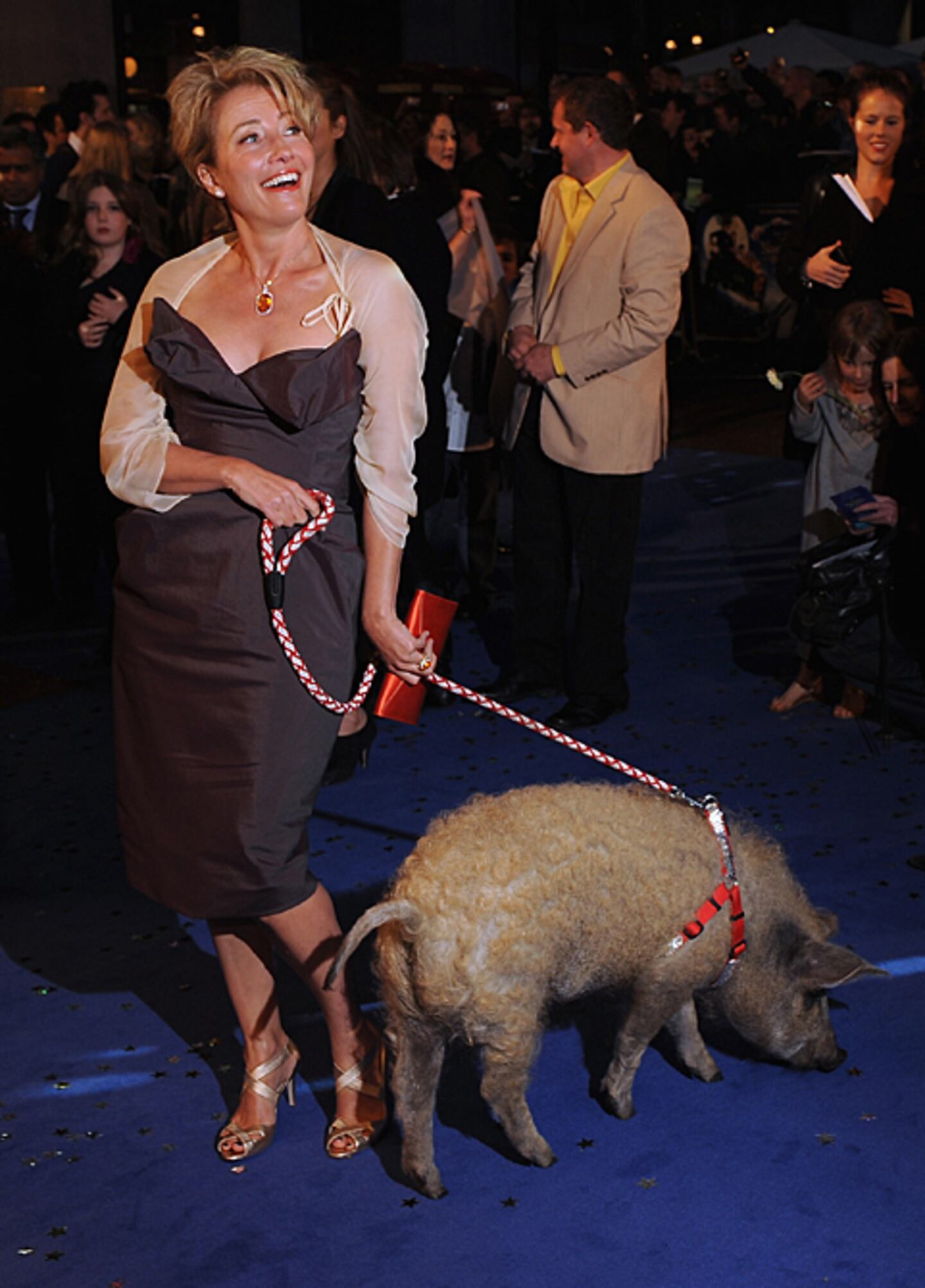 Animal Red Carpet