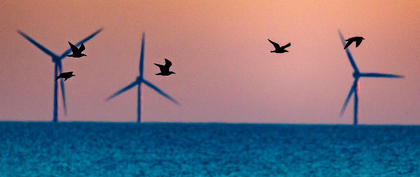 Trump Escalates His War on Windmills With Dramatic Move