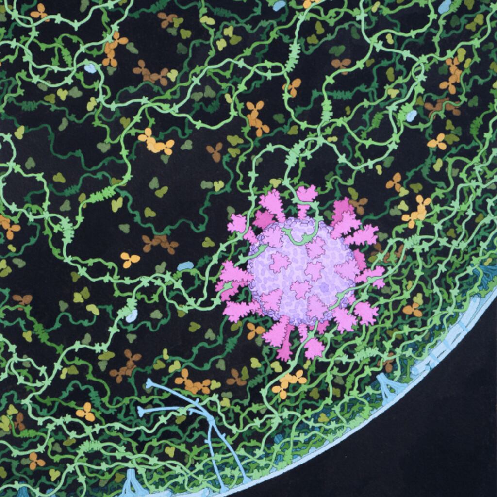 BioArt Combining Art and Science Could Help Encourage STEM Education