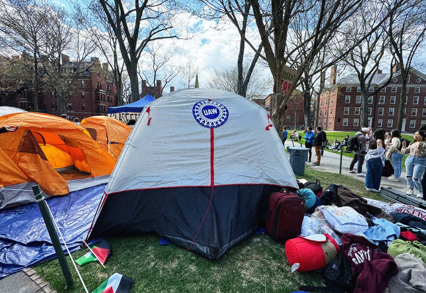 The Surreal Difference Between Harvard and Columbia Protests During ...