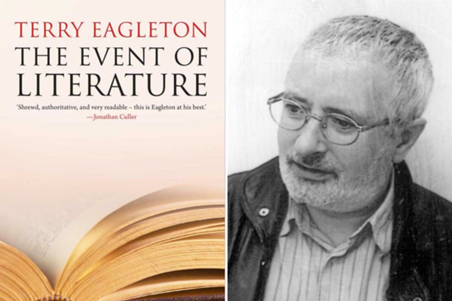 Terry Eagleton’s Book Bag: 5 Favorite Literary Criticism