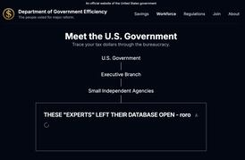 Anyone Can Hack Elon Musk’s DOGE Website, Coders Say