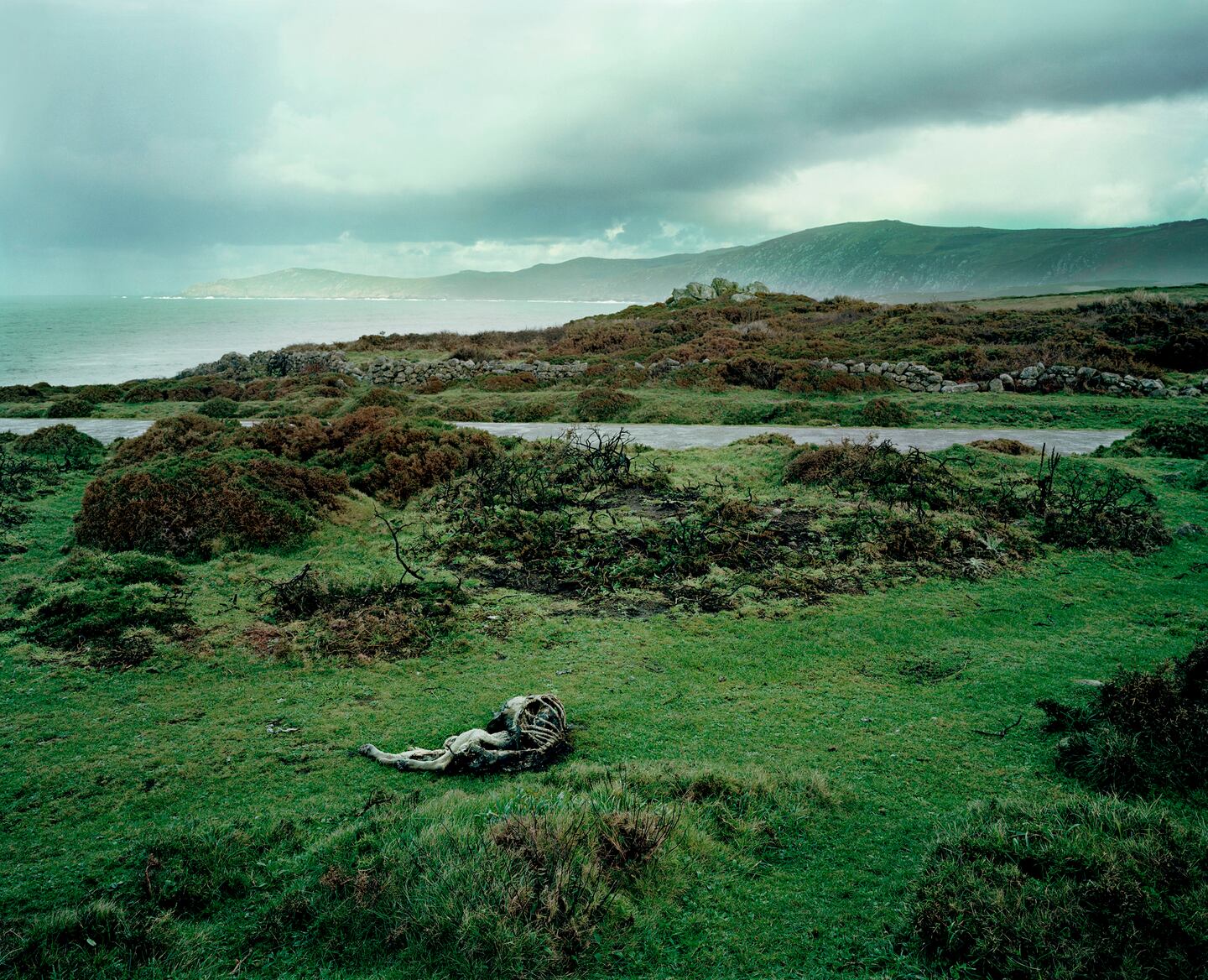 At Boston’s Museum of Fine Arts, an Explosive Ori Gersht Exhibition ...