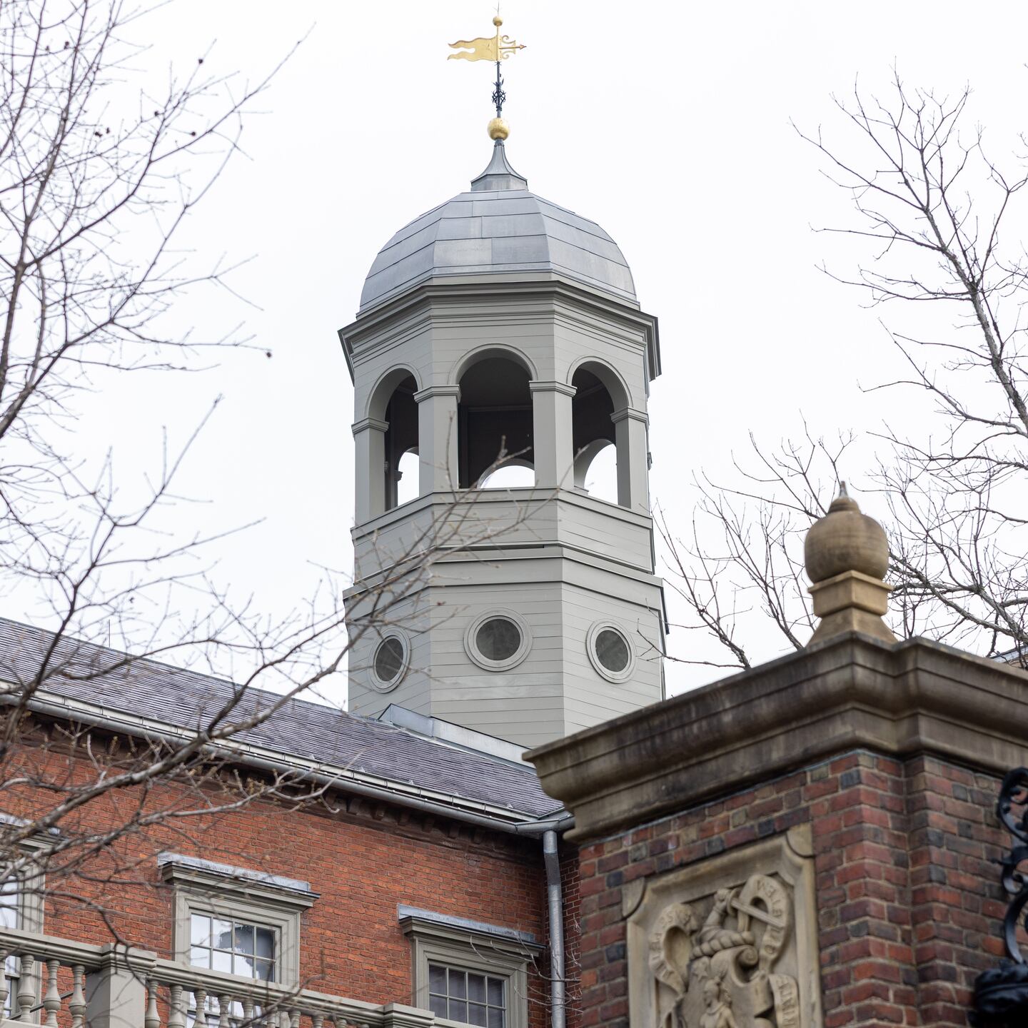 Harvard President Urges Colleges to Stand Against Trump
