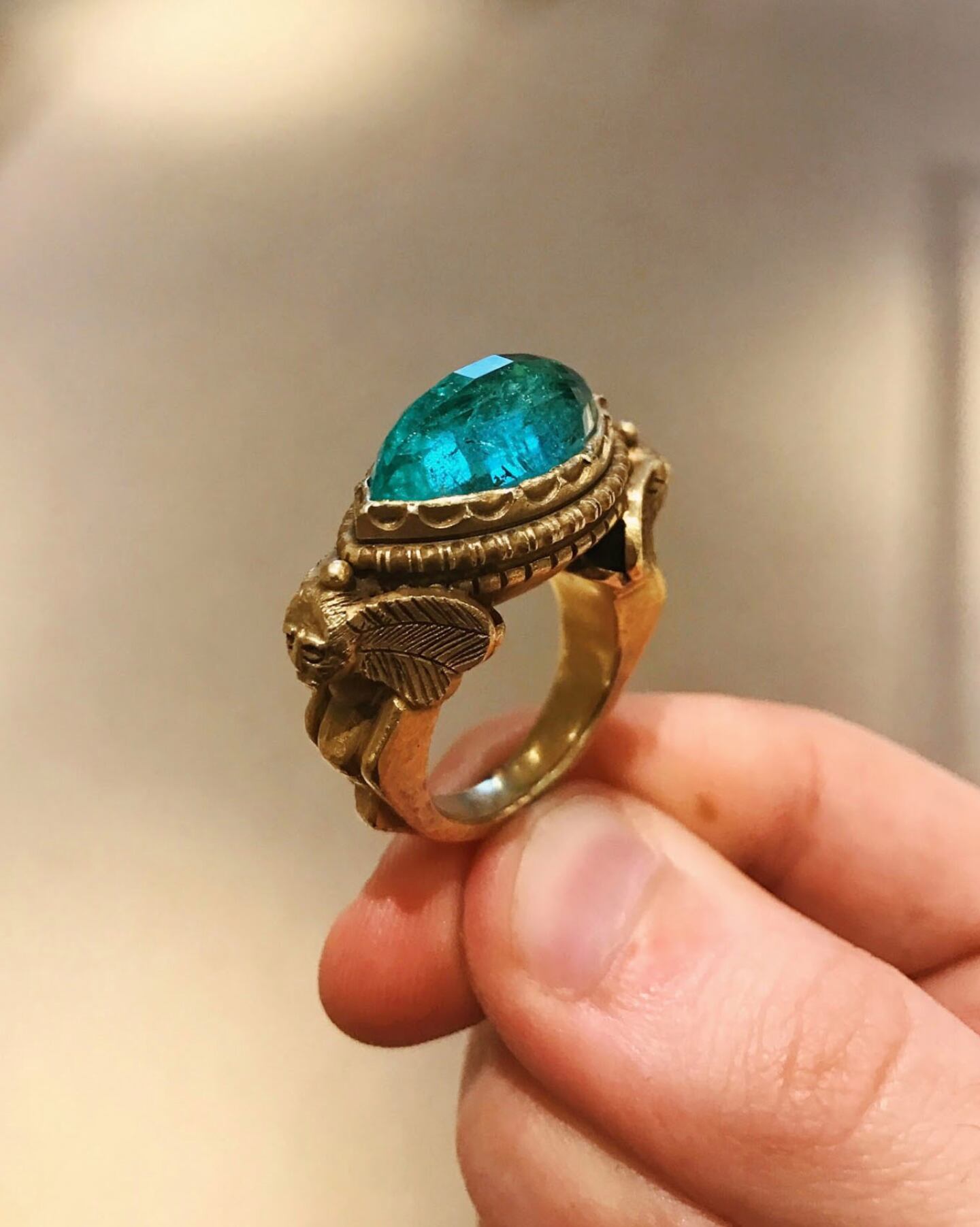 The Wild History of Poison Rings