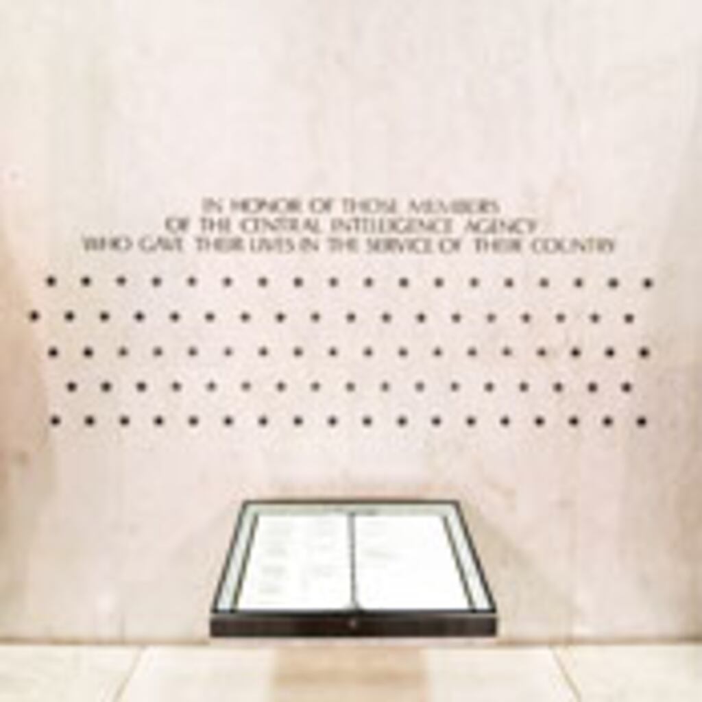 The CIA's Secret Grief