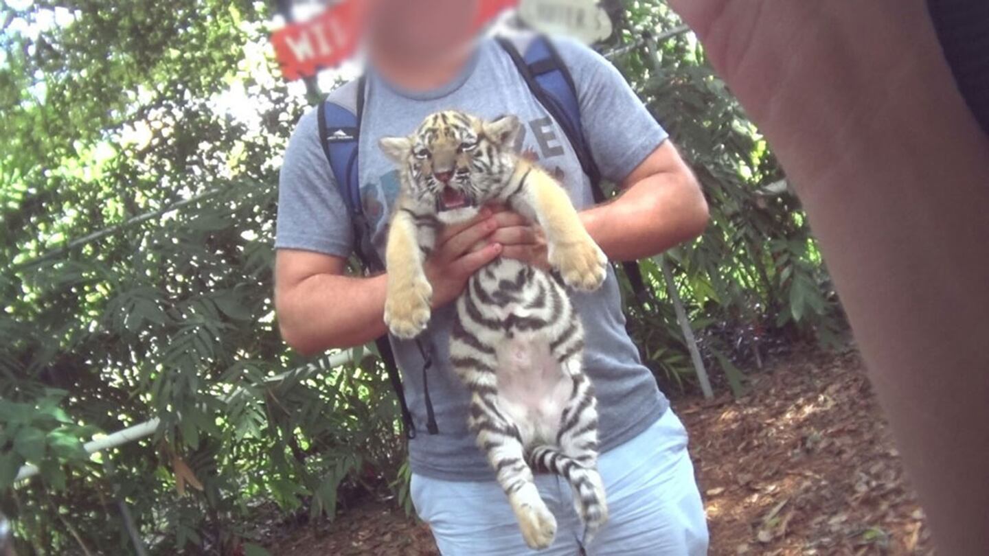 Gun-Toting Zoo Owners in Showdown With PETA and the Feds Over Baby Tigers