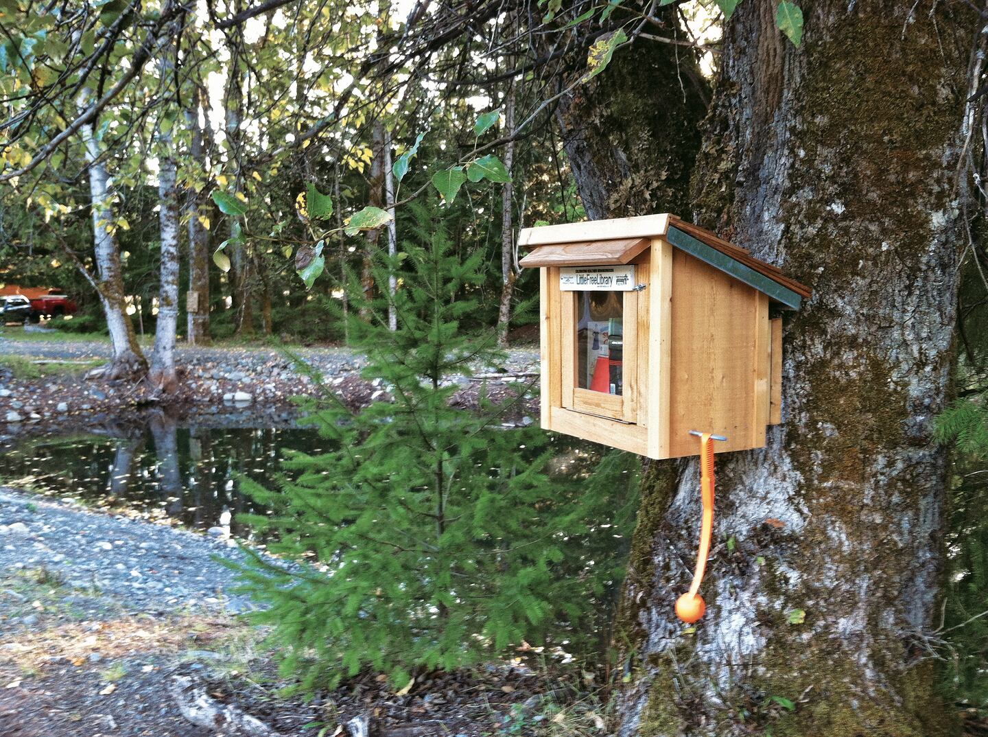 The World’s Weirdest Libraries (Photos)