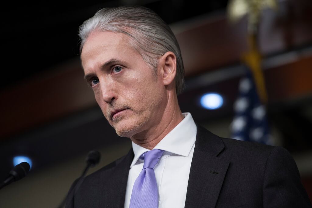 MAGA Melts Down Over Fox News Host Trey Gowdy’s Case for Gun Control ...