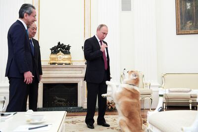 How Vladimir Putin Uses His Pet Dogs for the Kremlin’s Dirty Tricks