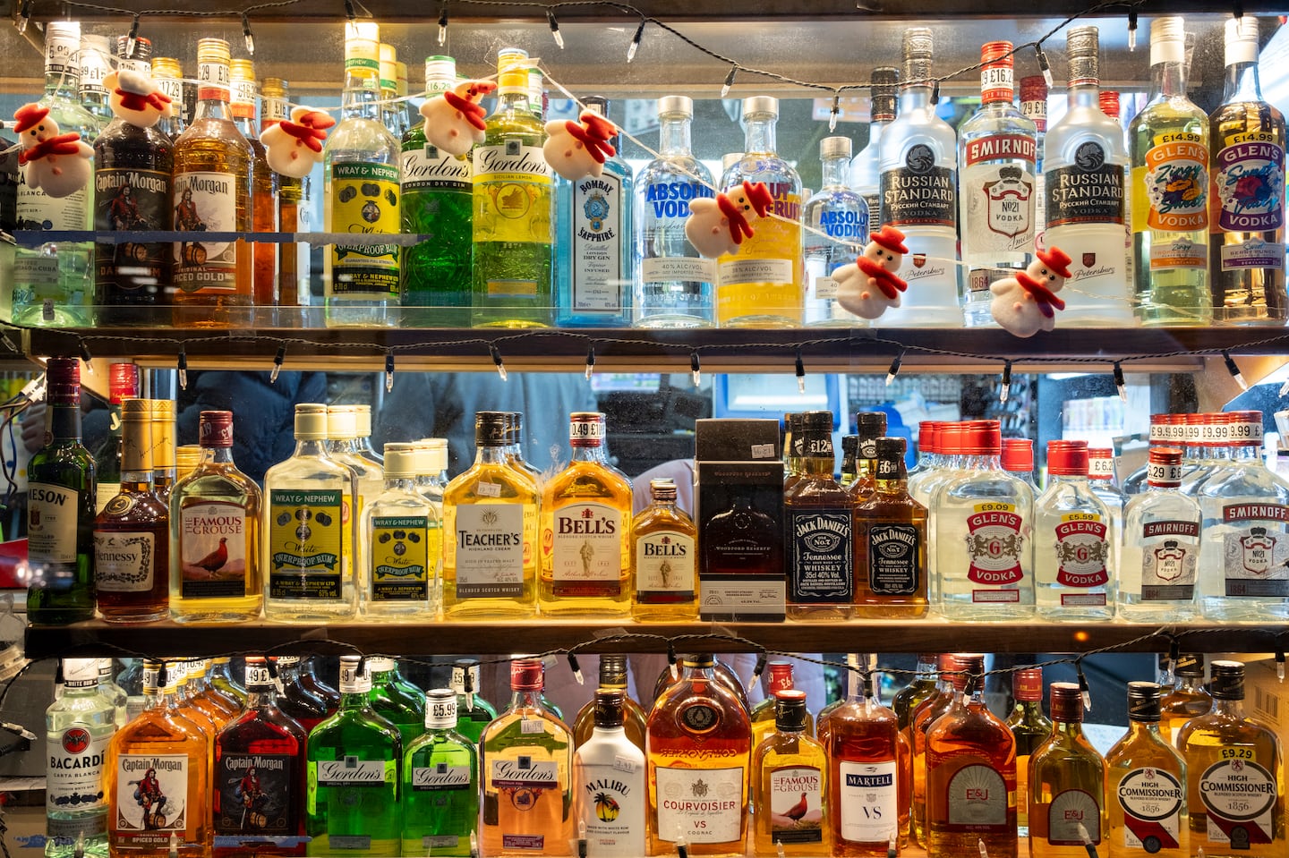 Health and Human Services Secretary Robert F. Kennedy Jr.’s Alcohol ...
