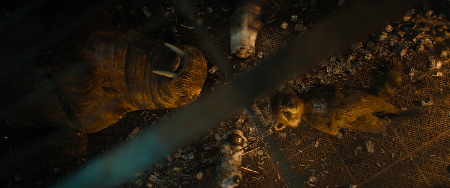 ‘Guardians of the Galaxy 3’ Ending, Explained: Does Rocket Die?